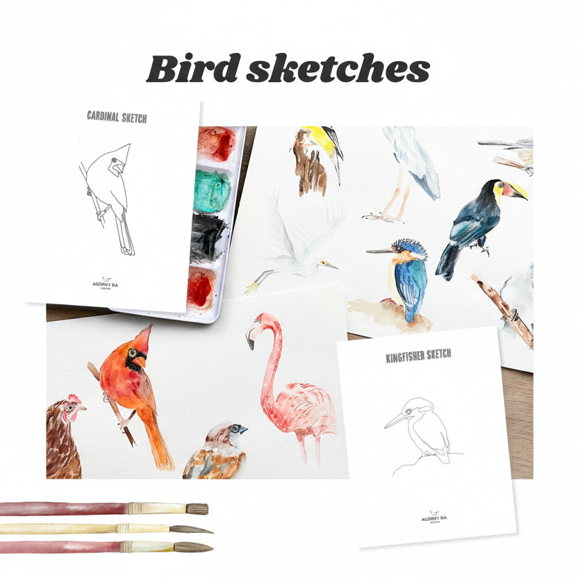 12 Bird Sketches – Audrey Ra Design Shop